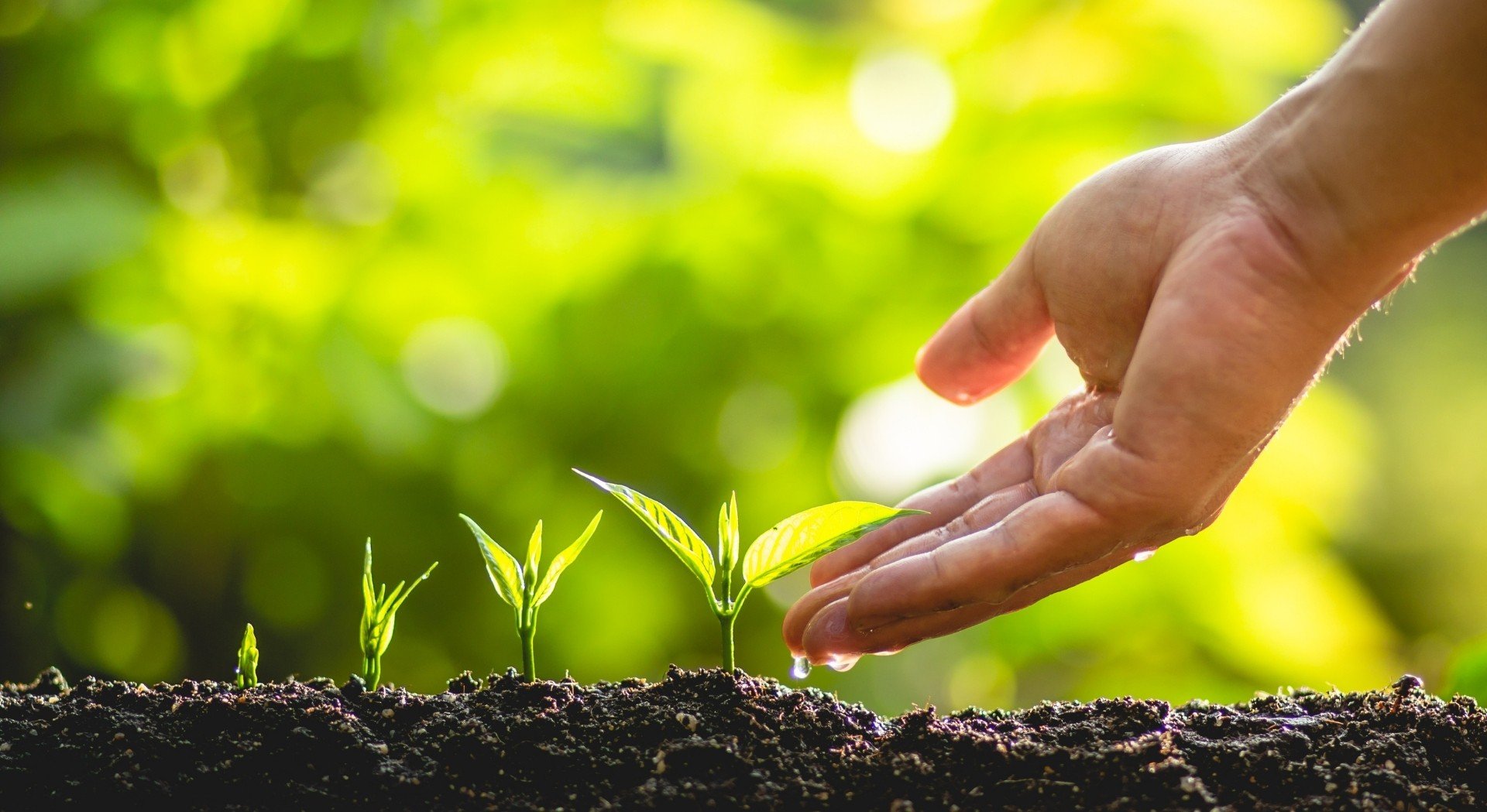 Quanta Paper Corporation